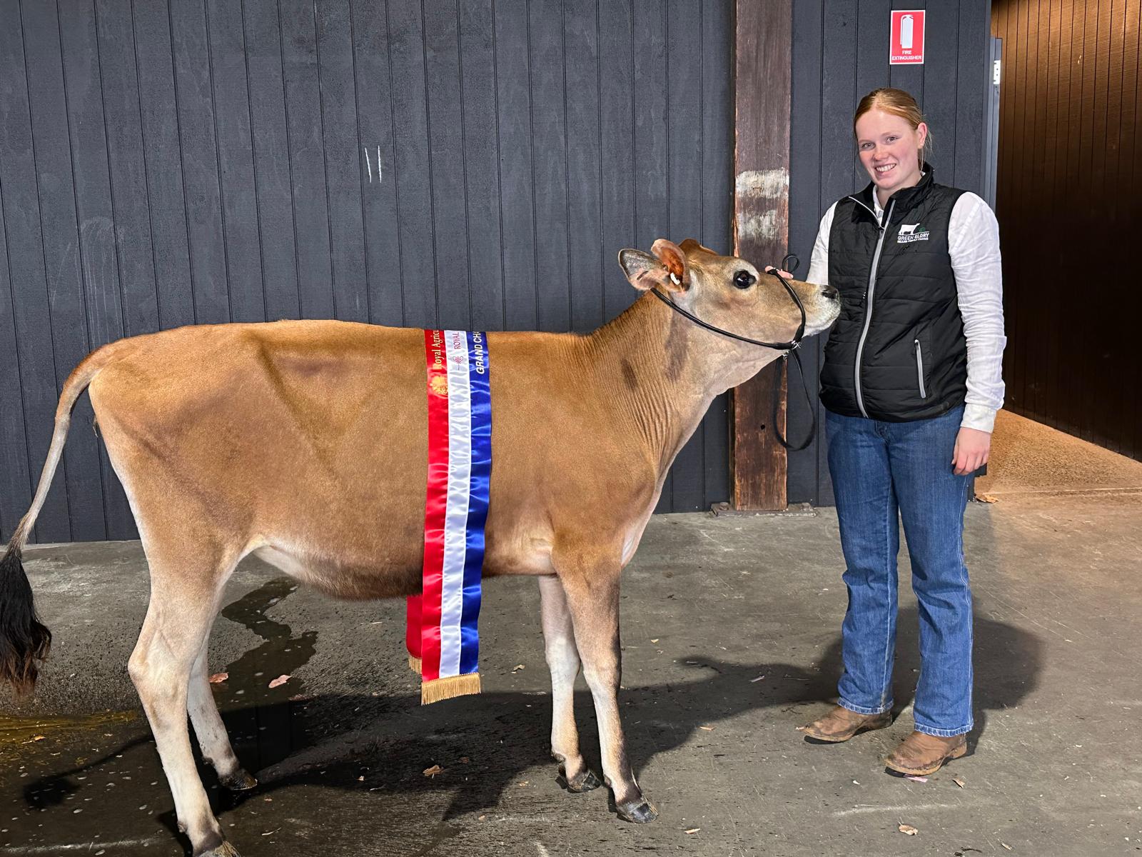 Royal Hobart Show: cattle champs compete in the city | Tasmanian ...