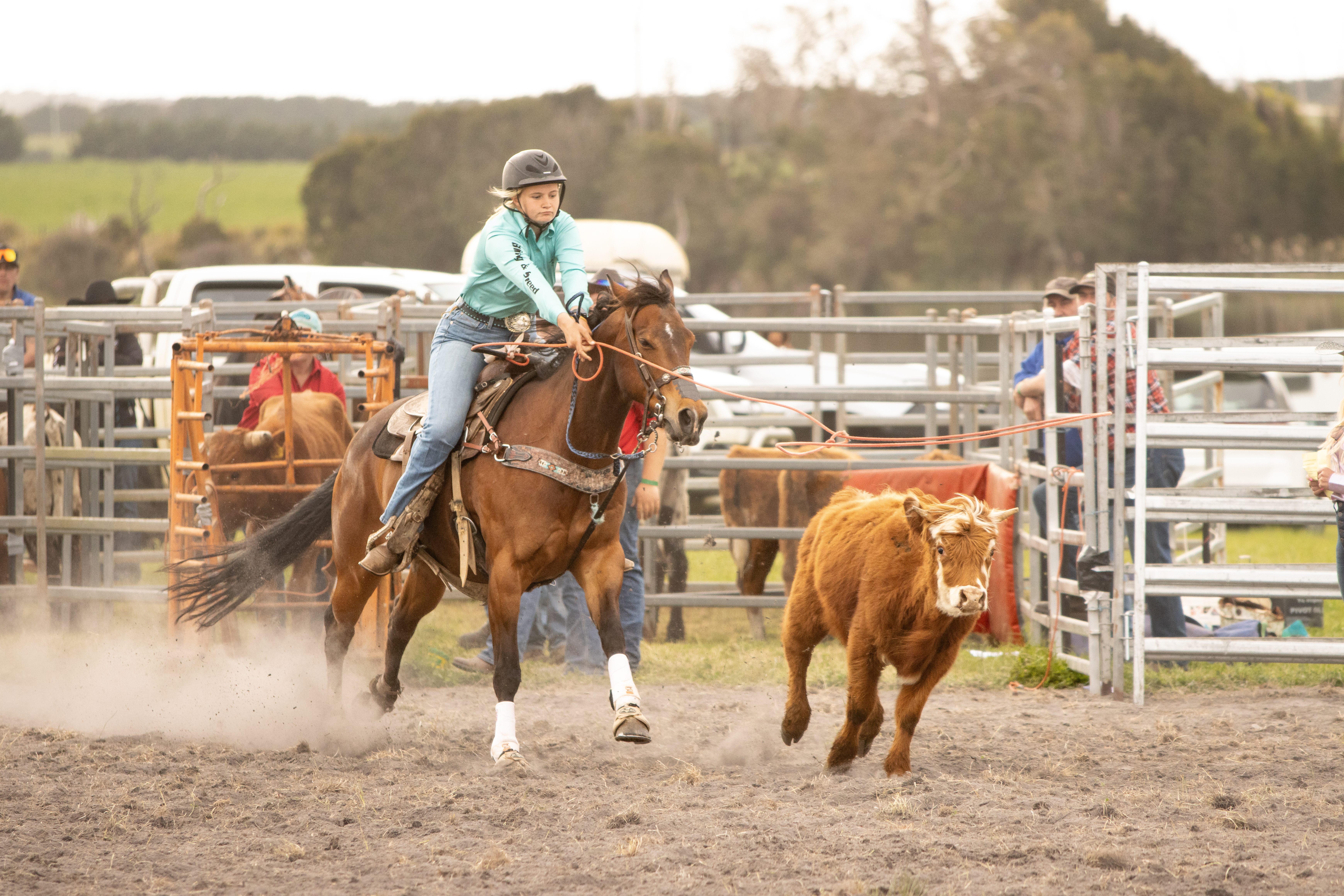 Rodeo season in full swing | Tasmanian Country Newspaper