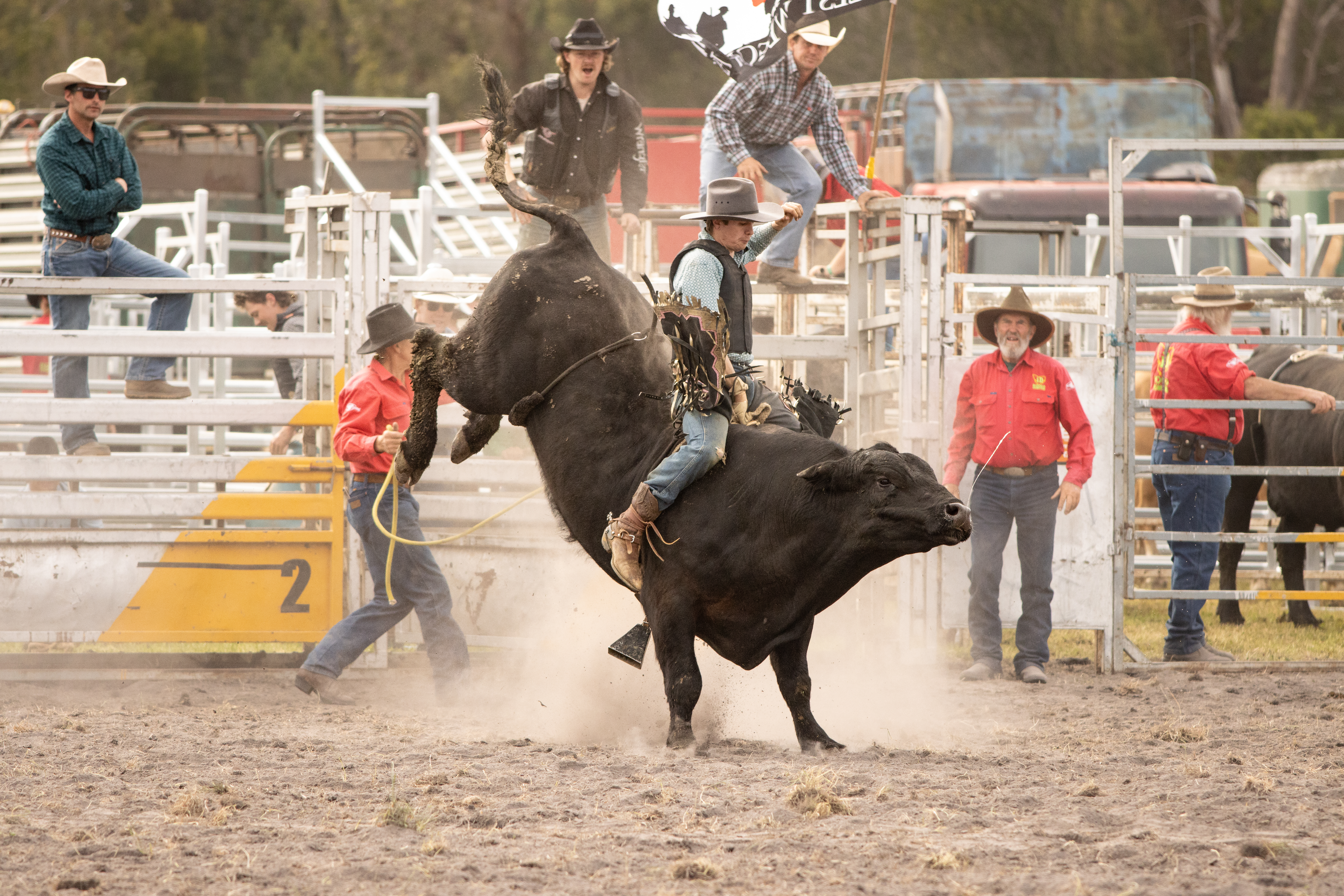 Rodeo season in full swing | Tasmanian Country Newspaper